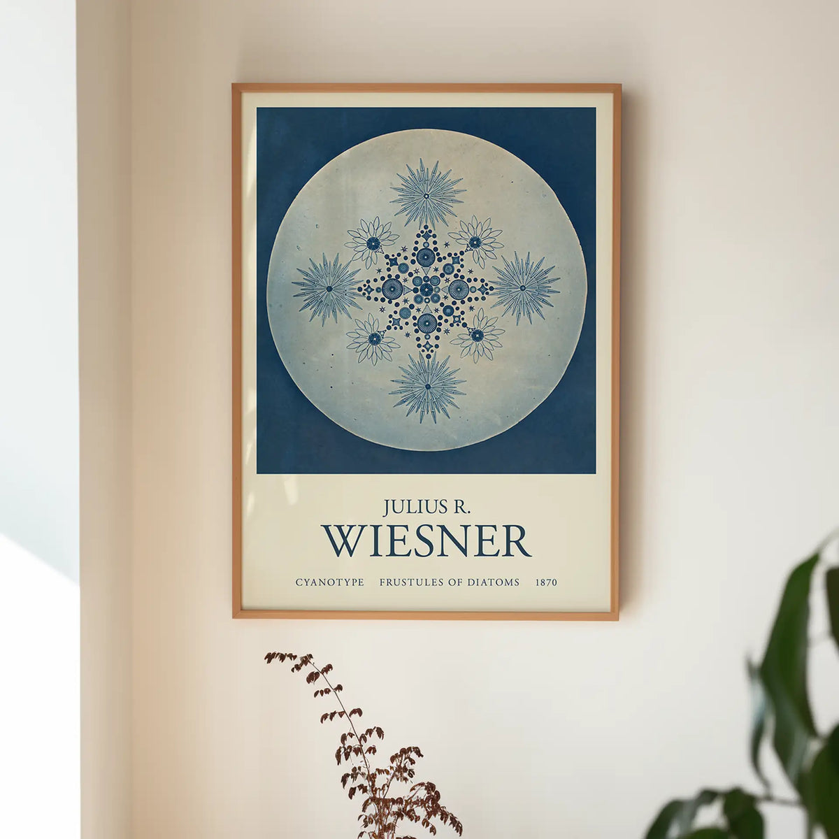 Frustules of Diatoms – Poster/art print – Det Blaa Kartel
